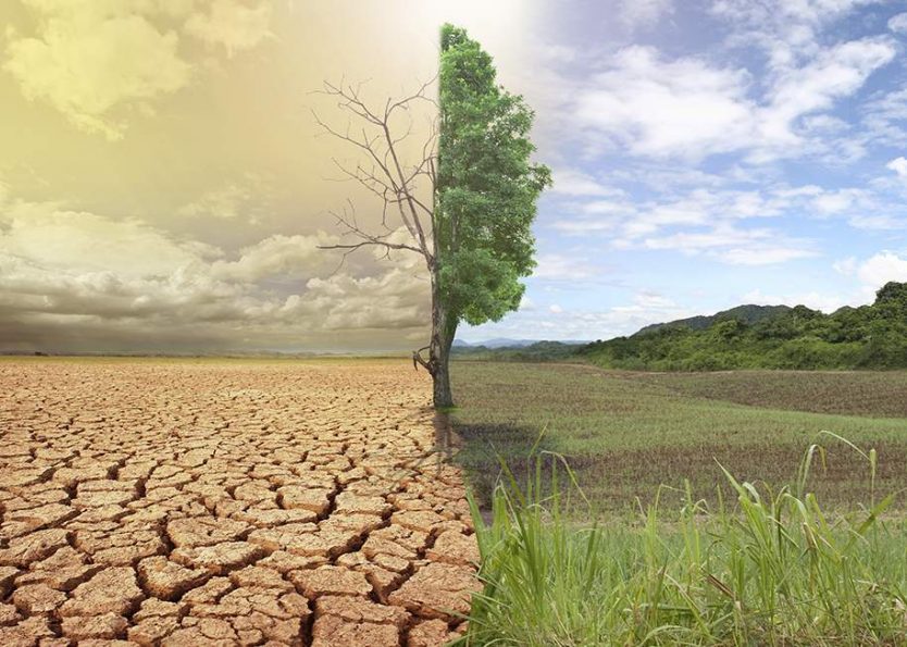 Causas Y Efectos Del Cambio Climático Global Grupo Ioe