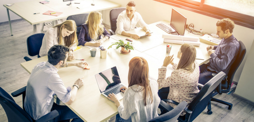 Organización Empresarial y Estructura Operativa - Grupo IOE